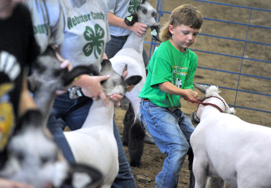 A ‘Blue Ribbon Fair’ | News, Sports, Jobs - Messenger News